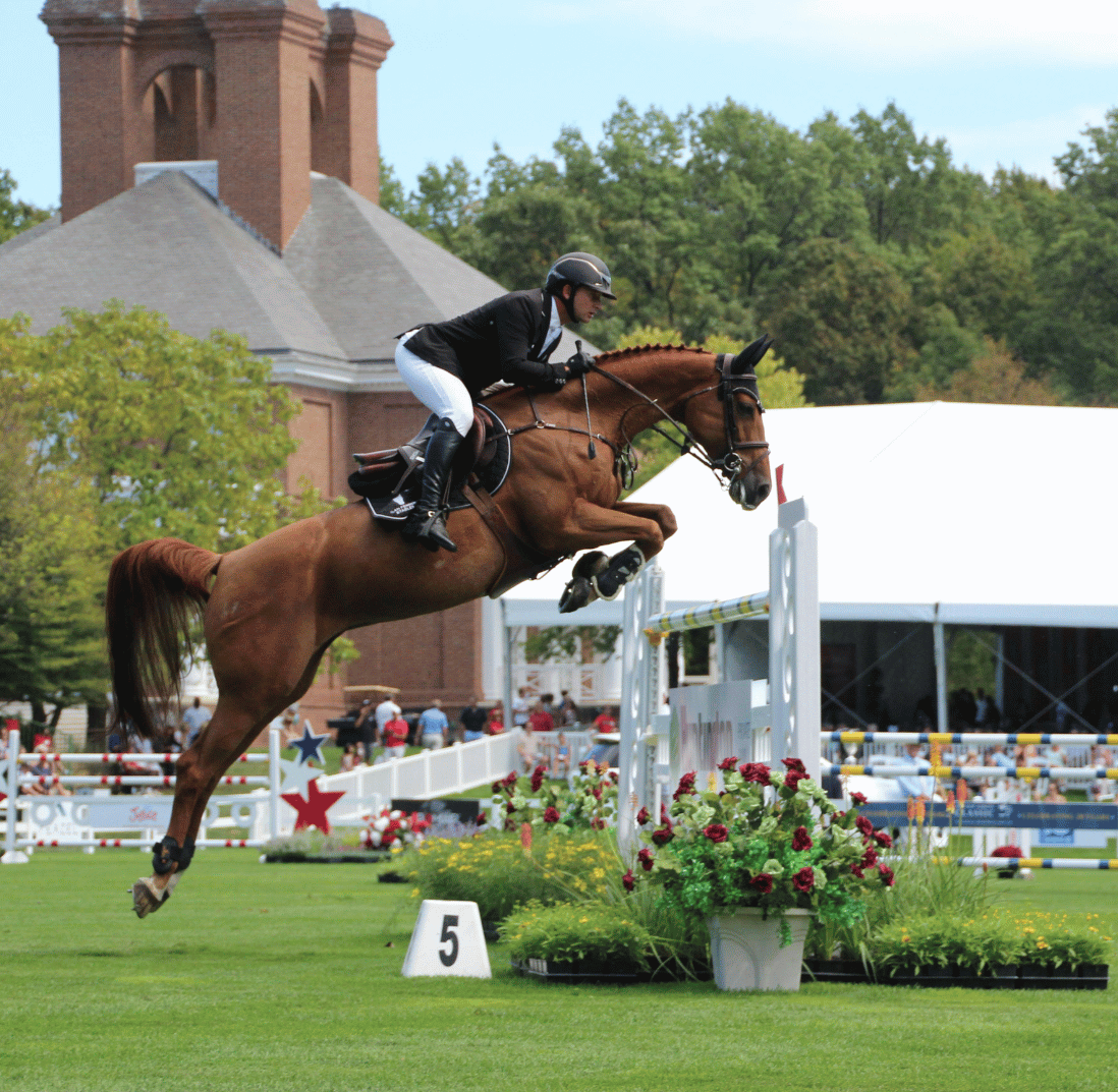 Hotel near RDS Dublin Horse Show | The Chancery Hotel